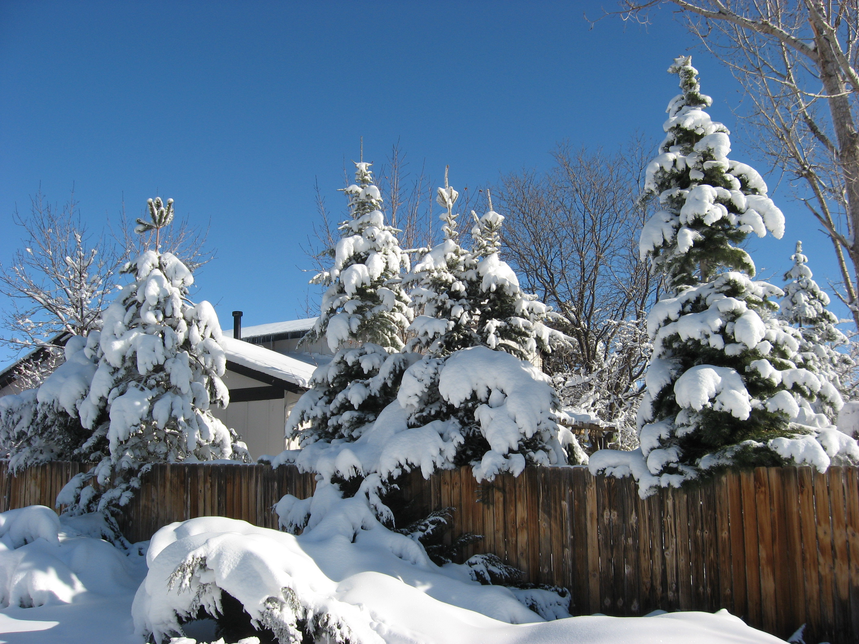 Reflections: Barefoot in the Snow – Braidwood Beginnings